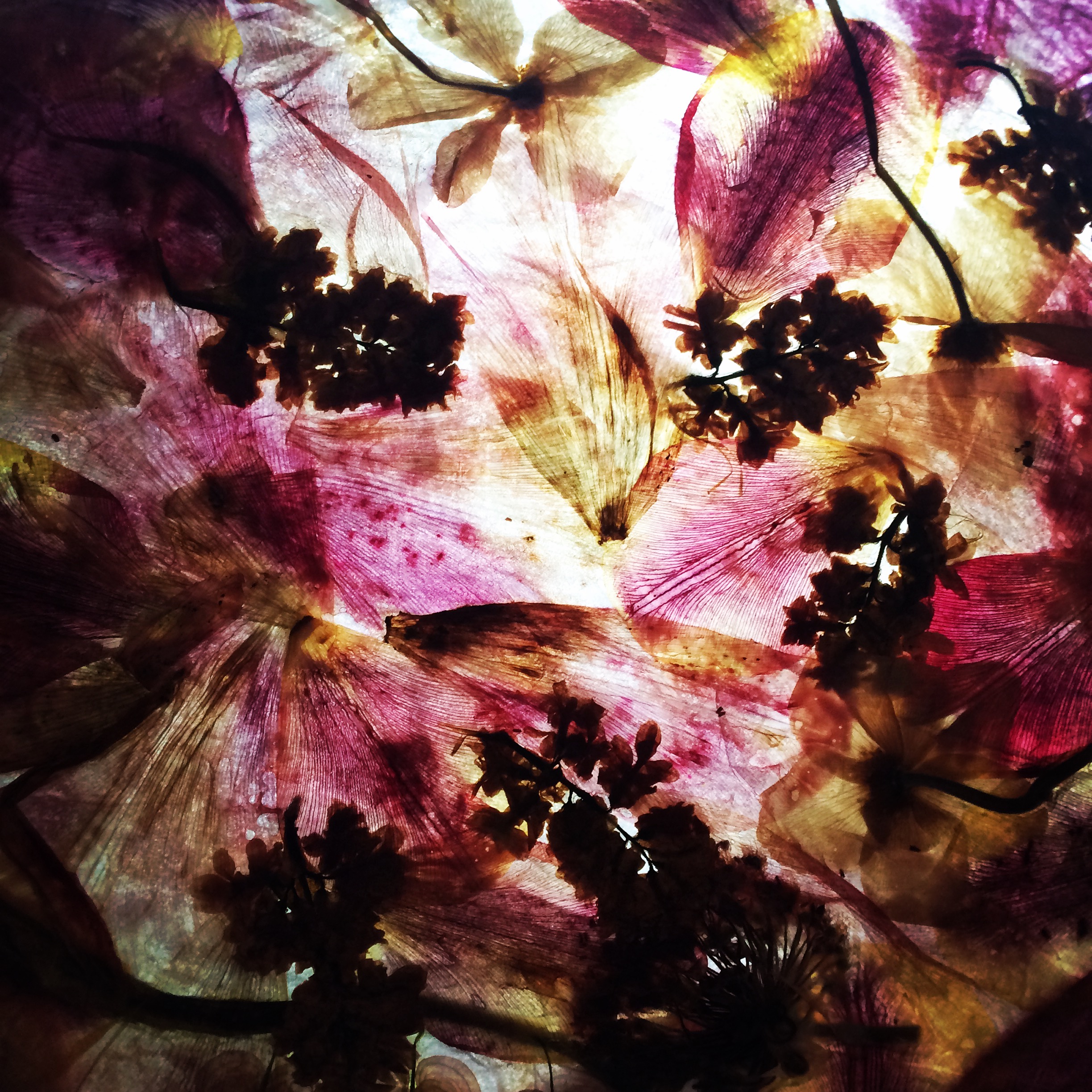 Blog – Inklette Magazine